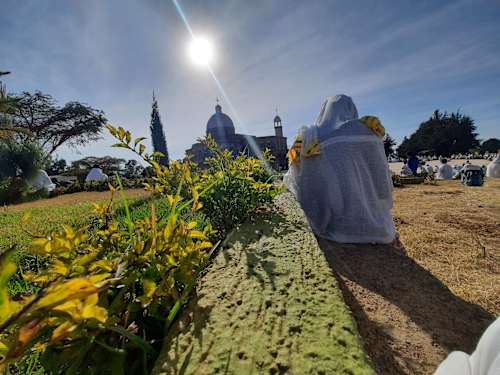 "Expert Transcription: Transforming Audio to Text Brilliance" by Thomas ...