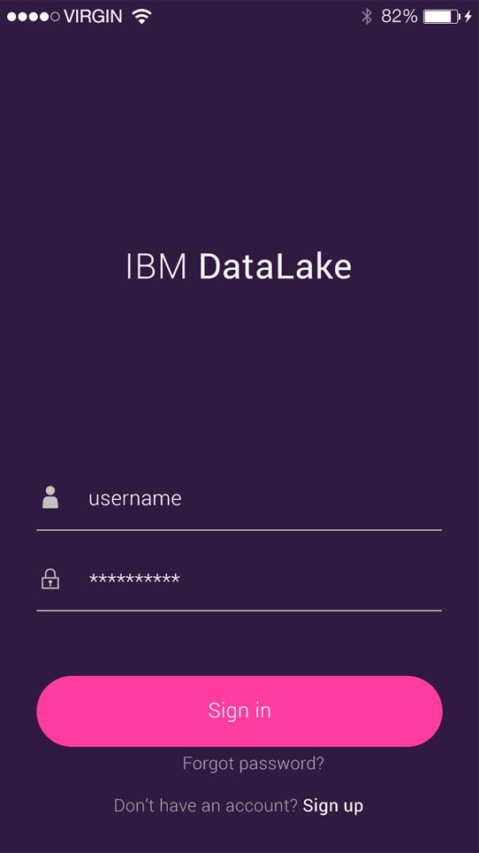 IBM DataLake by Hammad Siddiqui