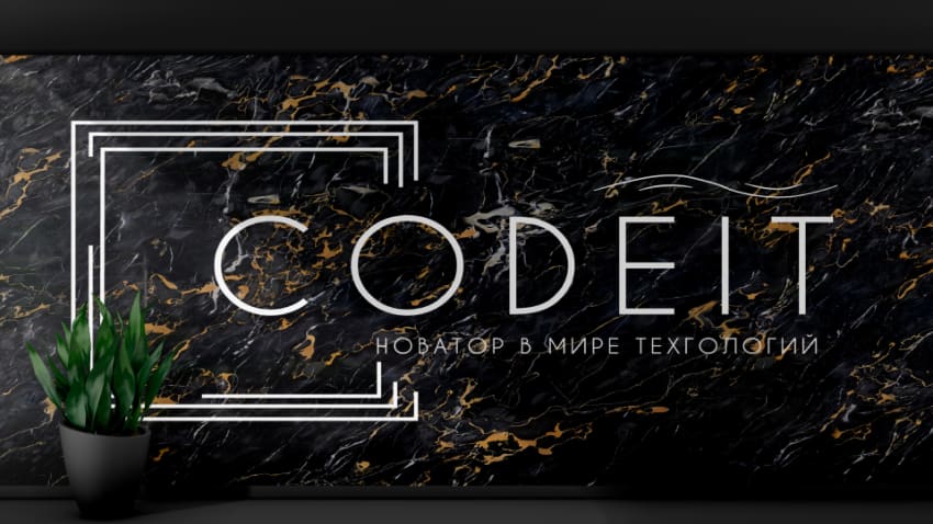 CodeIT Brand Book on Behance by Farrukh Saydakhmedov