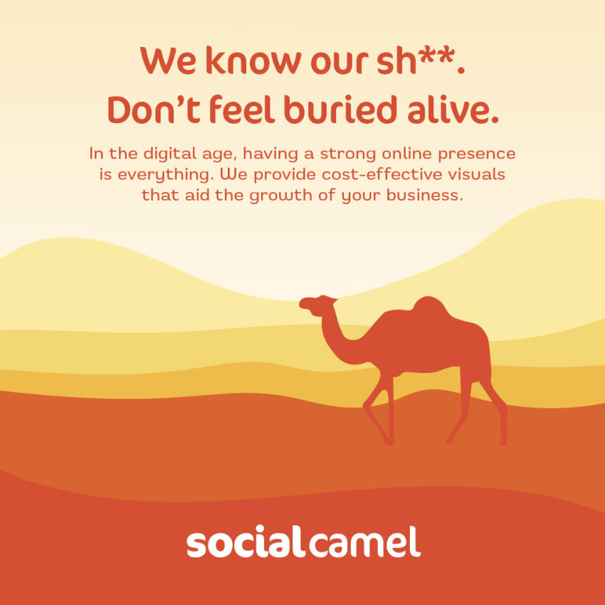 Social Camel - Brand Identity Design by Seadhna Treacy