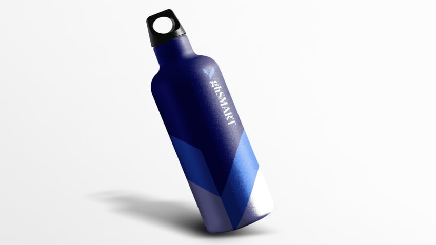 ghSMART Rebrand by Lucia Vaughan