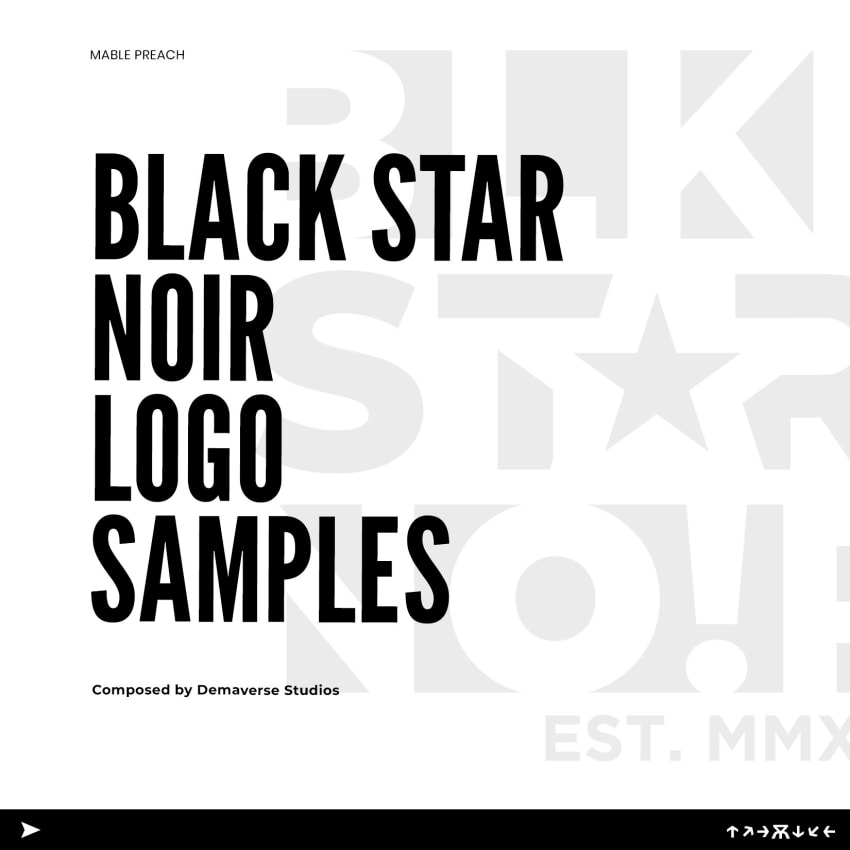 BLACK STAR NOIR LOGO DESIGN SAMPLES by Deon Matthews
