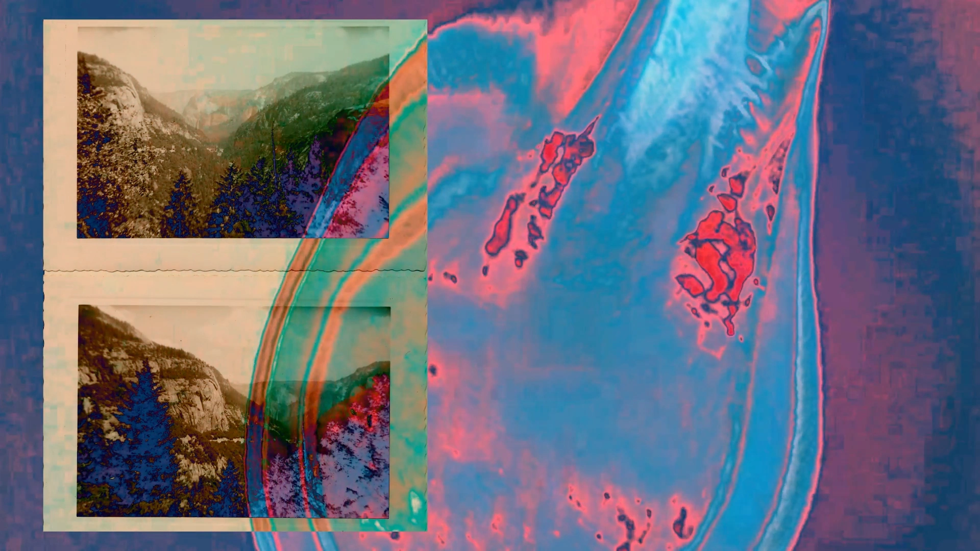 Everdross – Retelling luxury by Hayley Cantor